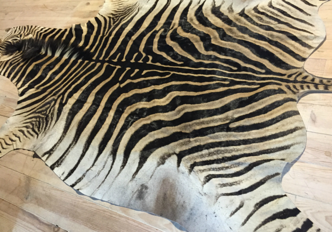 New soft tanned zebra skins. These are very high-quality hides ...