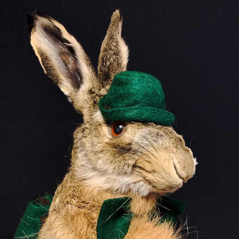 hase, waffe, hase mit waffe, fantasy - Fantasy Objekte - Ausgestopfte ...