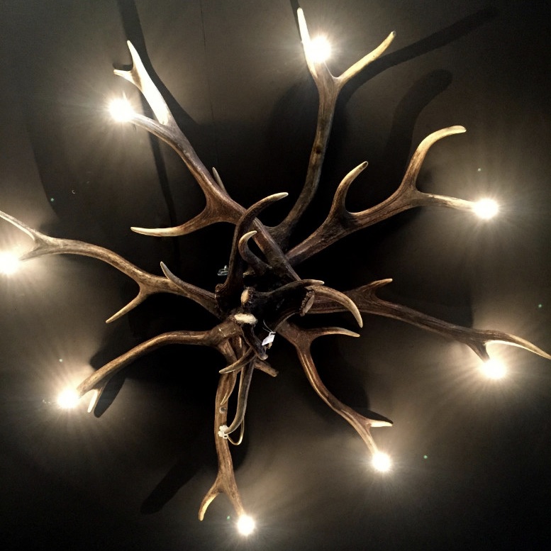 Edelhertgewei plafonniere, Gewei lamp, lamp gemaakt van gewei - Gewei ...